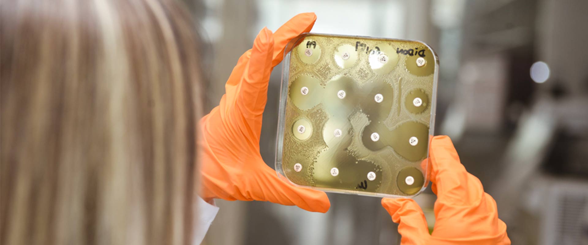 BIOASTER - The first Institute for technological innovation